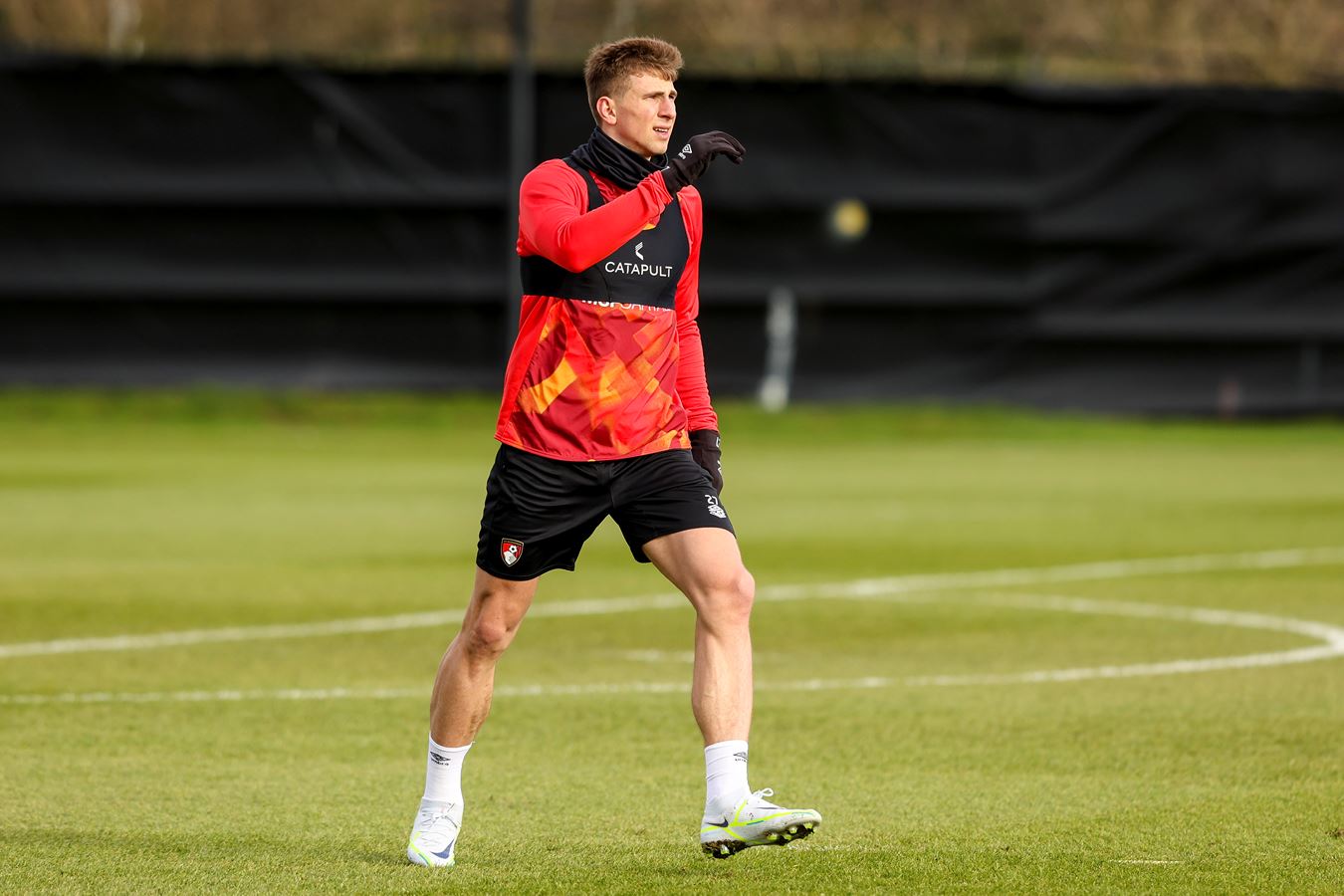 Ilya Zabarny nie zagra dla Bournemouth do kwietnia: szczegóły (23 ...