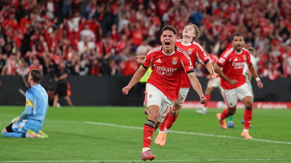 Sudakov Unhappy with His Substitutions in Matches for Benfica (Nov. 9 ...